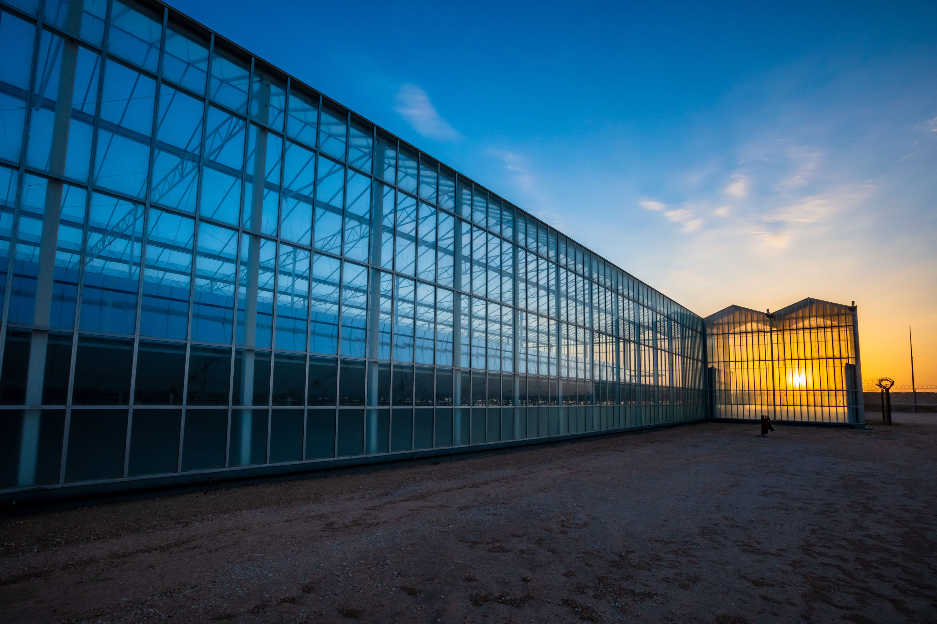 English (United States) Sustainability