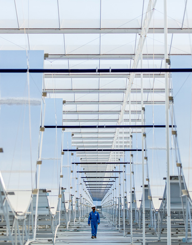 English (United States) Renewable Energy